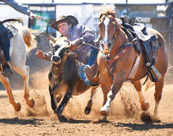 Champions crowned at Makawao Stampede | News, Sports, Jobs - Maui News
